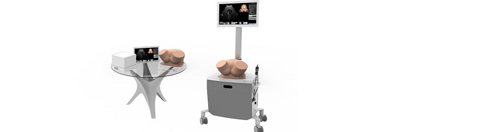 Virtamed Gynos Medical Simulator